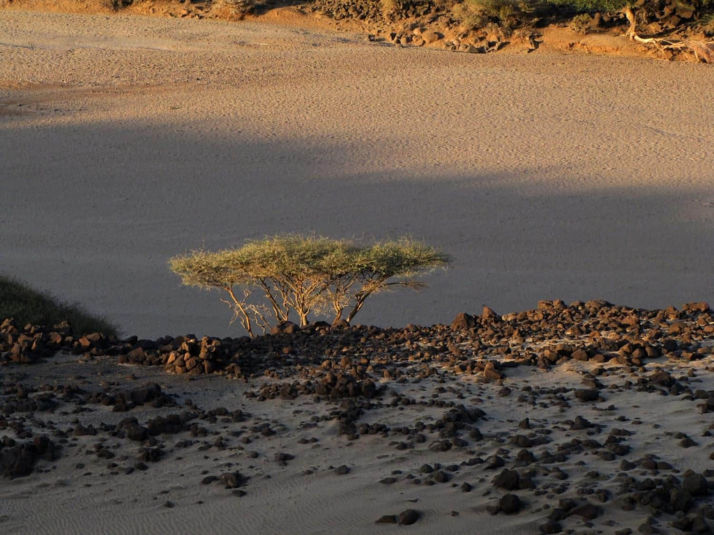 The 2 seasons of Djibouti: a few words about the climate and the best ...