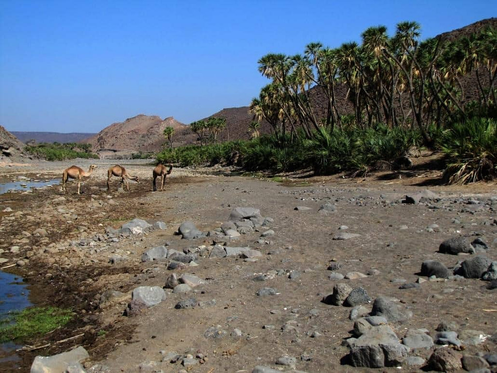 The 2 seasons of Djibouti: a few words about the climate and the best ...