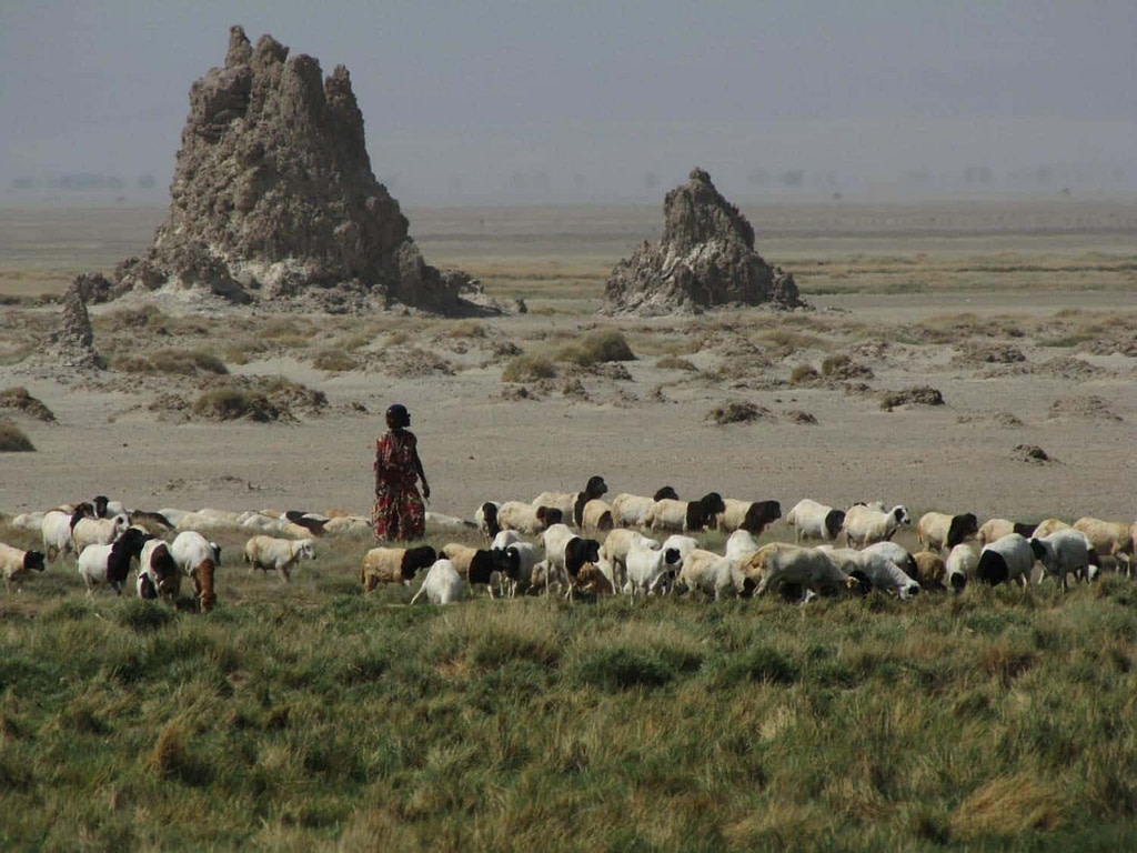 The 2 seasons of Djibouti: a few words about the climate and the best ...