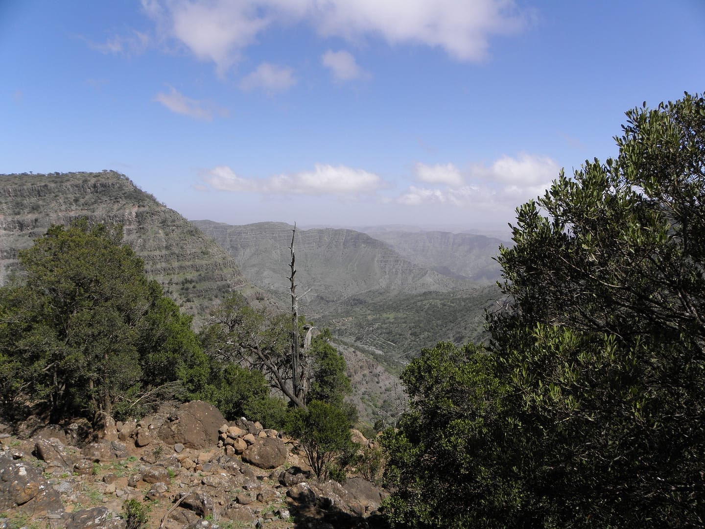 Djibouti | Africorne Travel