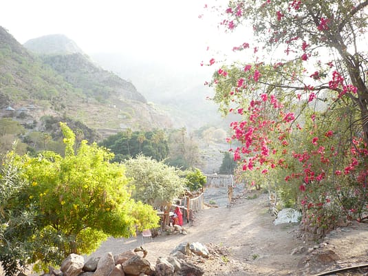The 2 seasons of Djibouti: a few words about the climate and the best ...