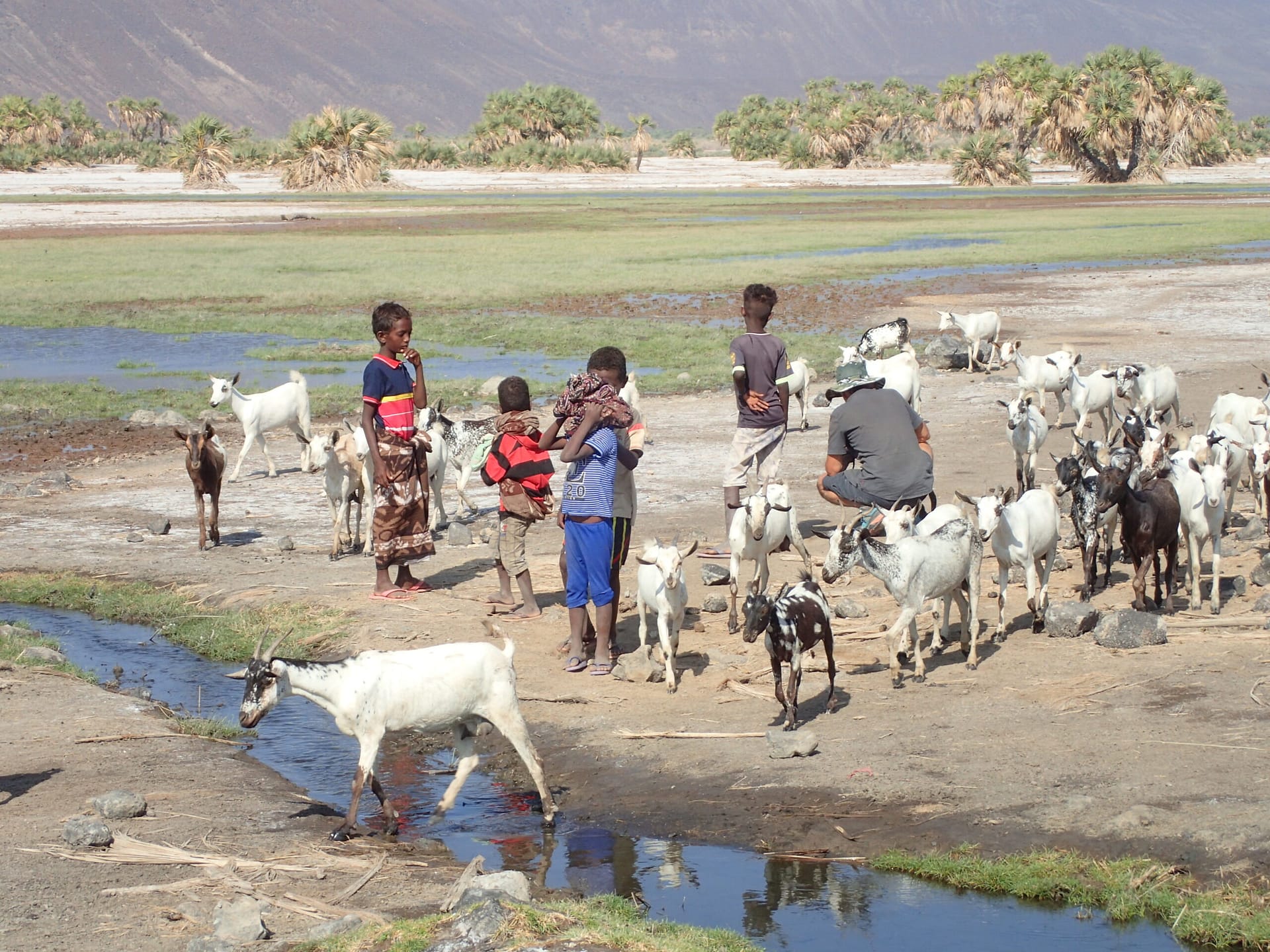 La corne de l'Afrique | Africorne Travel